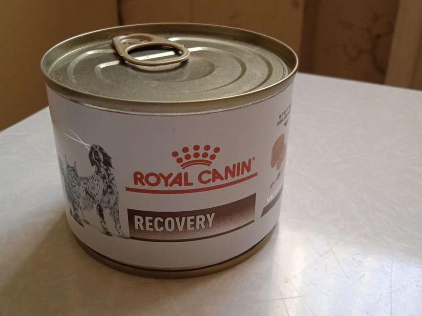 Нежный мусс Royal Canin Recovery для собак и кошек