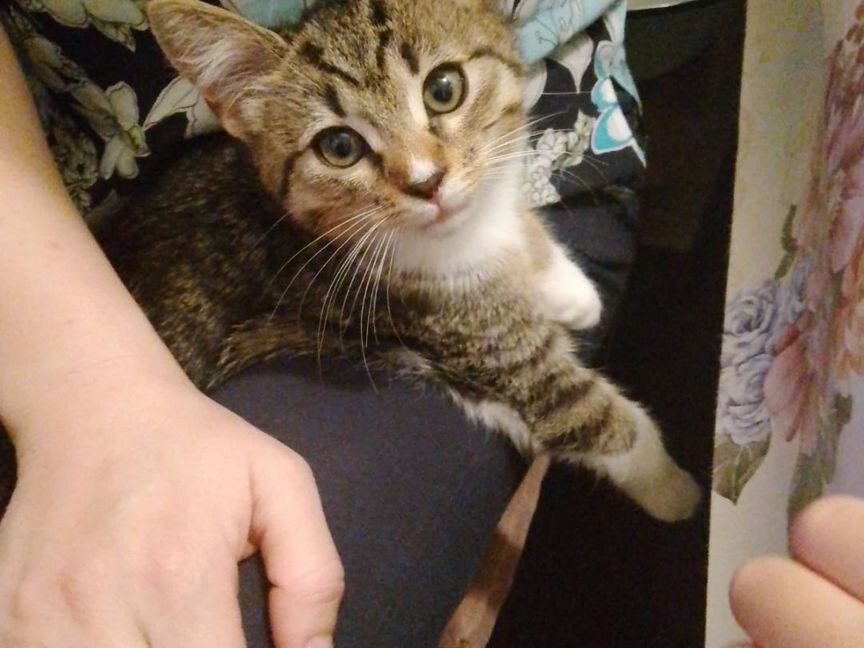 Европейская