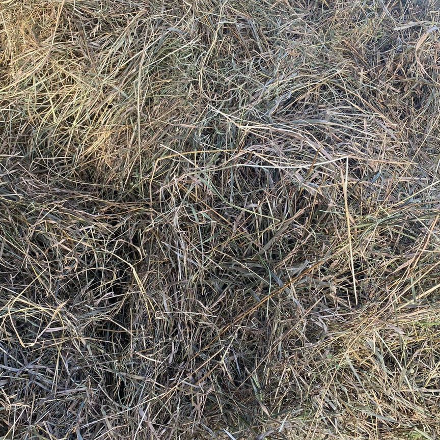 Сено в рулонах