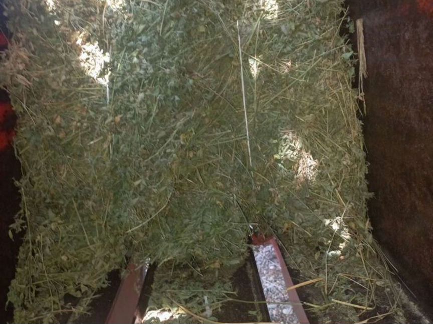 Сено в тюках. Люцерна, луговое