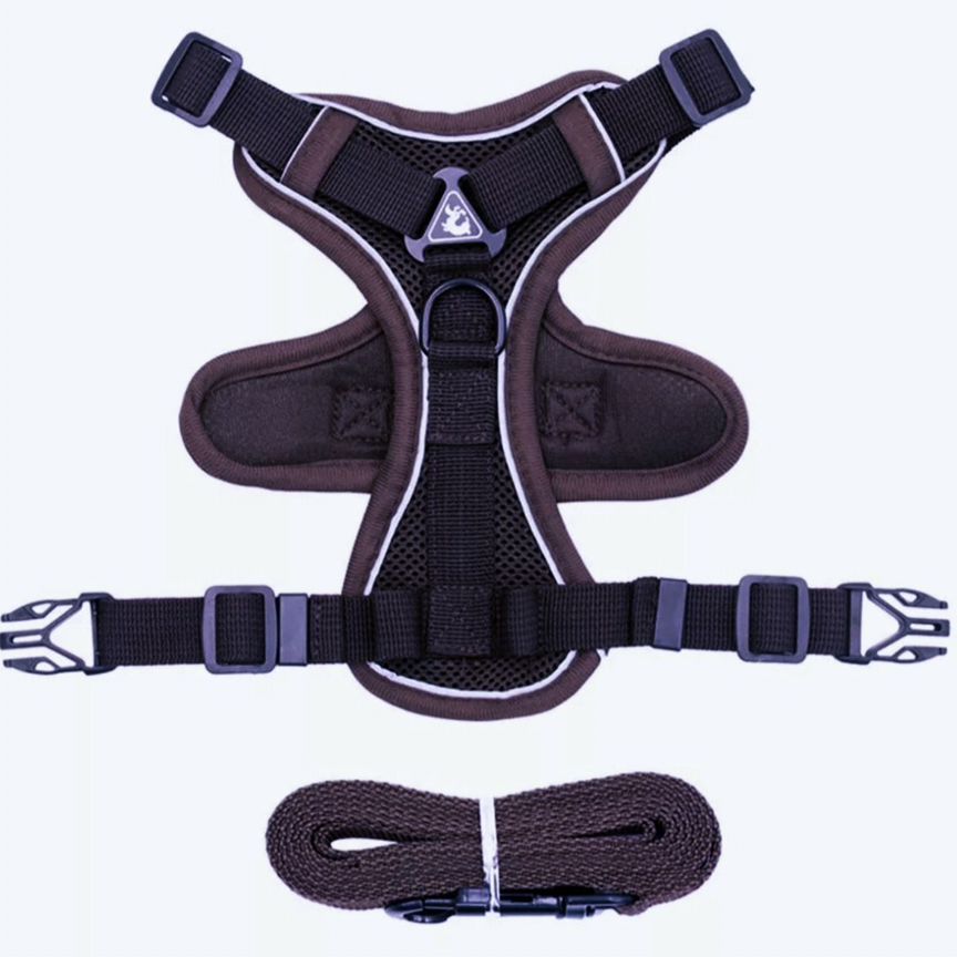 Шлейка для собаки с поводком