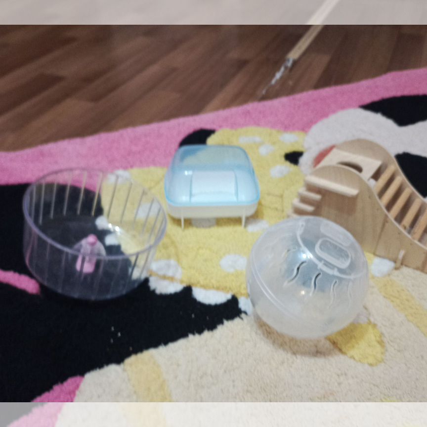 Вещи для мелких грызунов