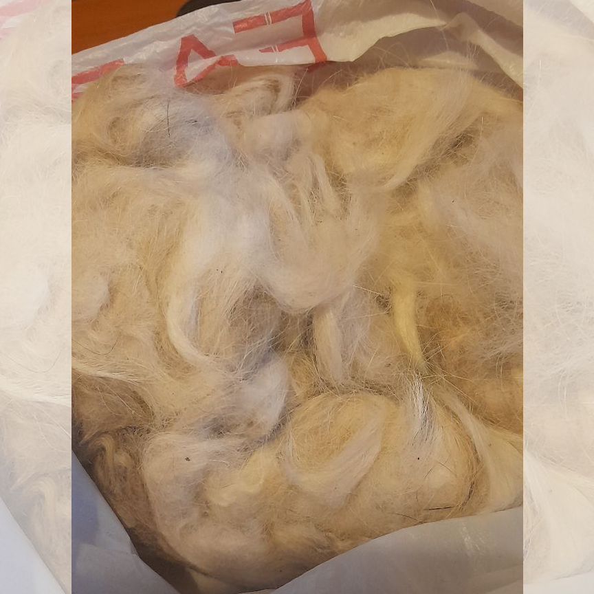 Шерсть собаки