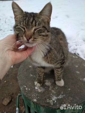 Уехали и выставили юного,нежного шпротика Басю