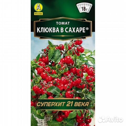 Томаты для балкона купить в Самаре | Товары для дома и дачи | Авито