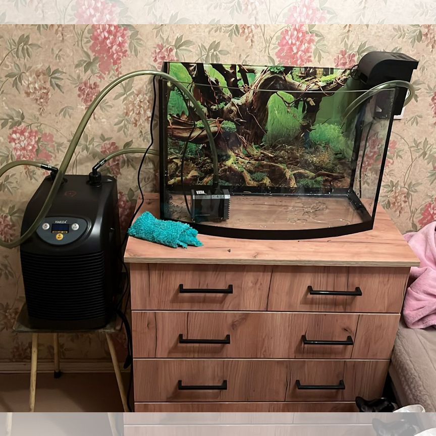 Холодильник для аквариума