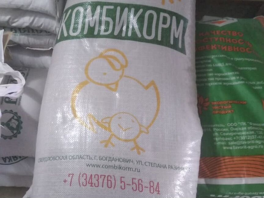 Богданович для цыплят