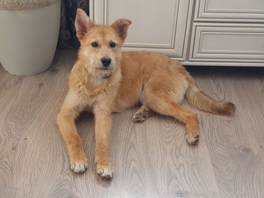 Только в надежные руки