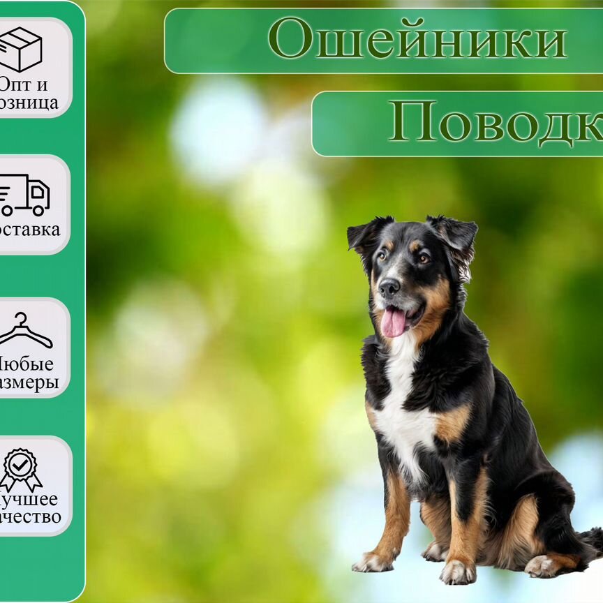 Ошейники и поводки для животных