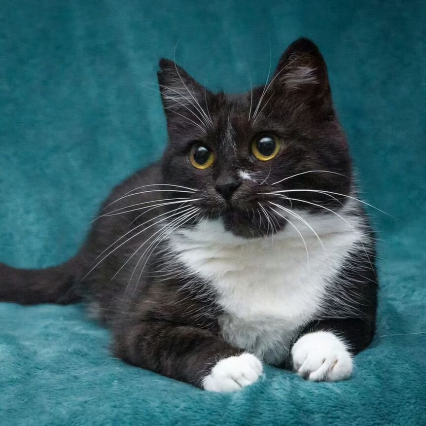 Машеньку никто не замечает