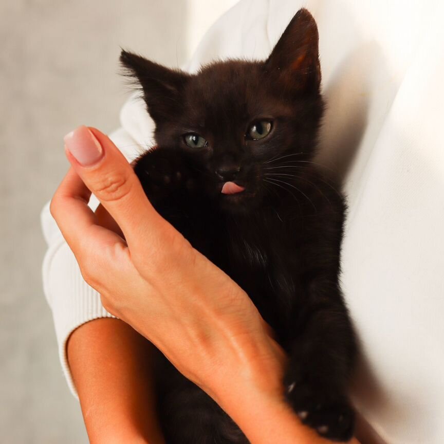 Бусинка крошечка