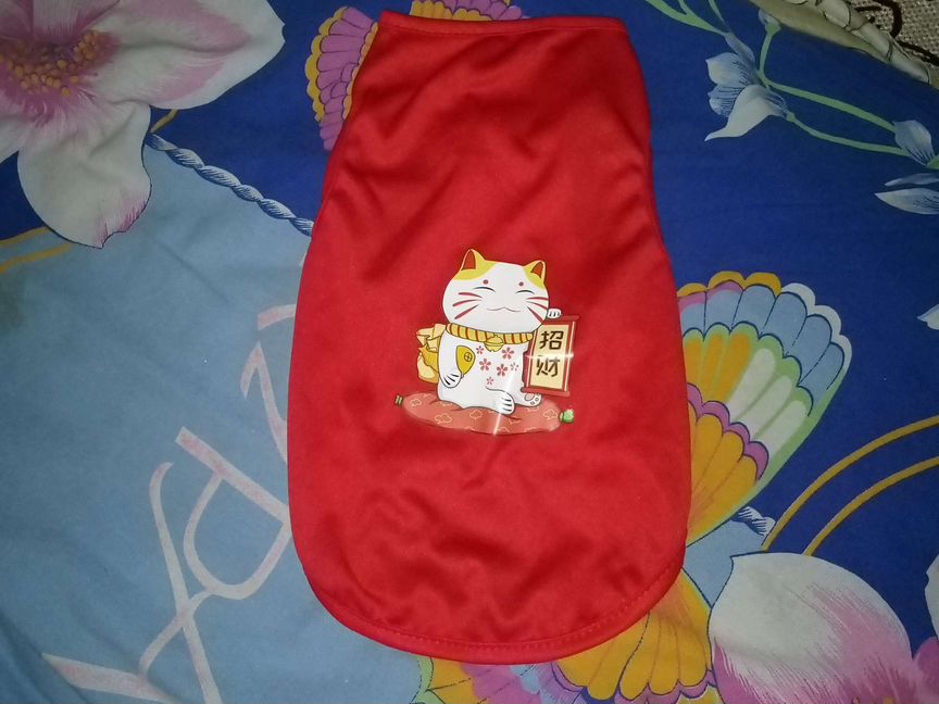 Кофта для вашего маленького питомца