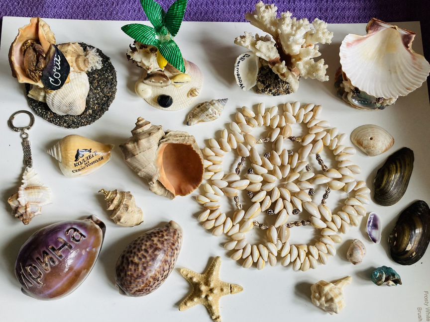 Ракушки, кораллы, сувениры