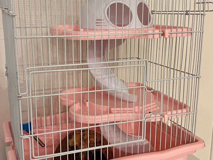 Клетка для хомяка