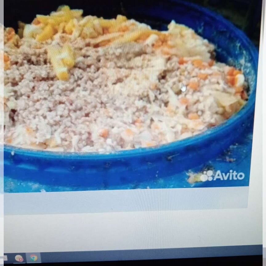 Продам пищевые отходы