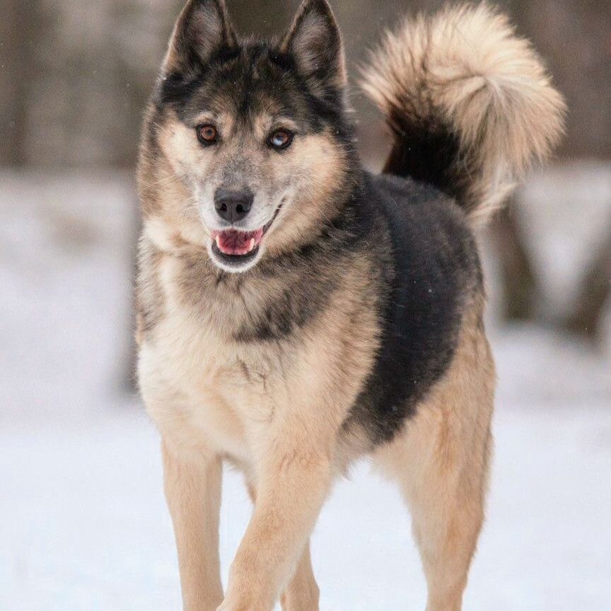 Красивейшая Власта будет верным другом