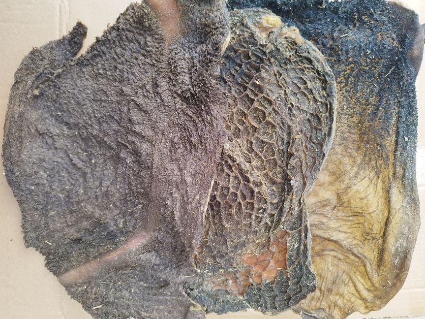 Рубец говяжий сушеный, оптом