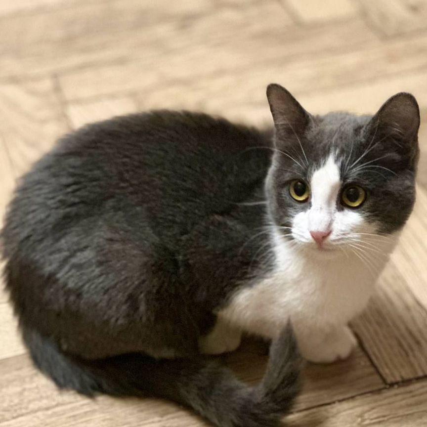 Малышка уже не ждет