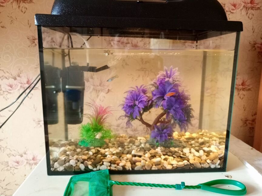 Аквариум с рыбками