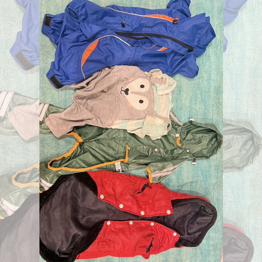 Одежда для собаки (Джек Рассел)