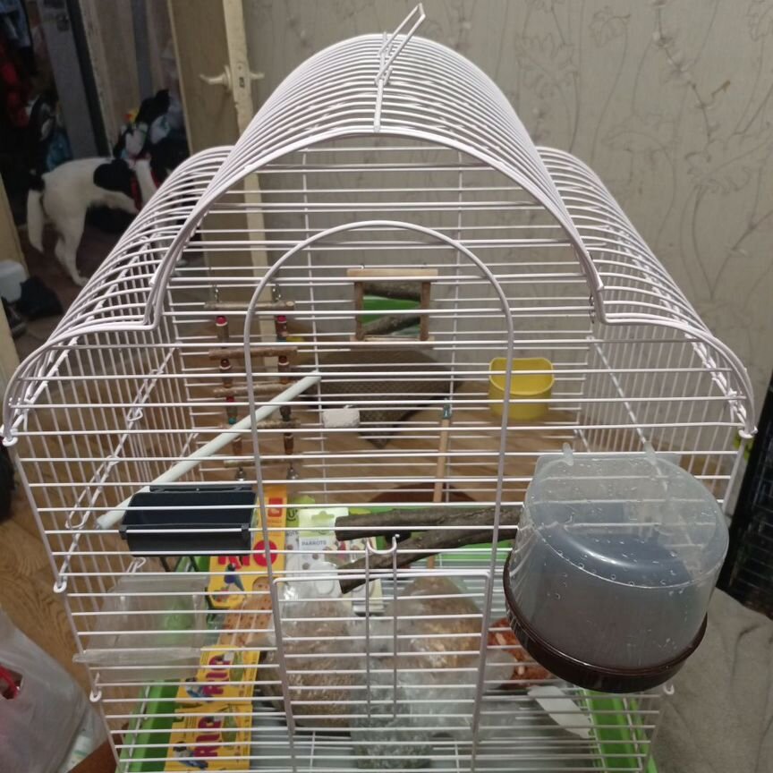 Большая клетка для попугаев