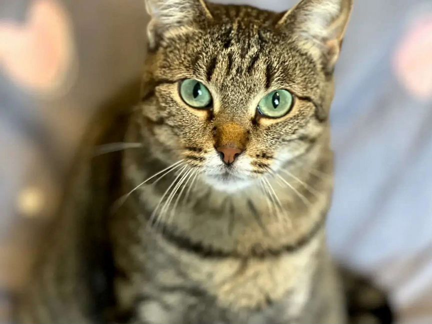 Оливия ждет свою семью