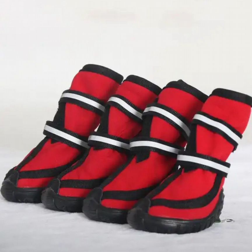 Обувь для собак