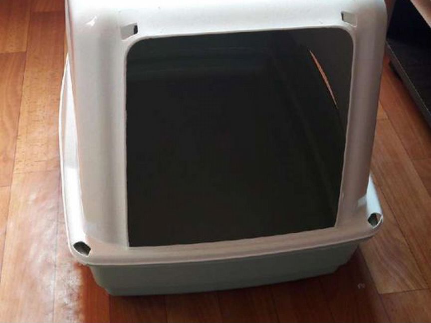 Кошачий туалет