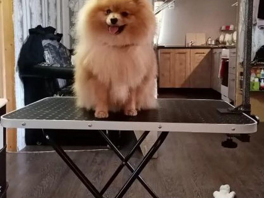 Стол для груминга складной