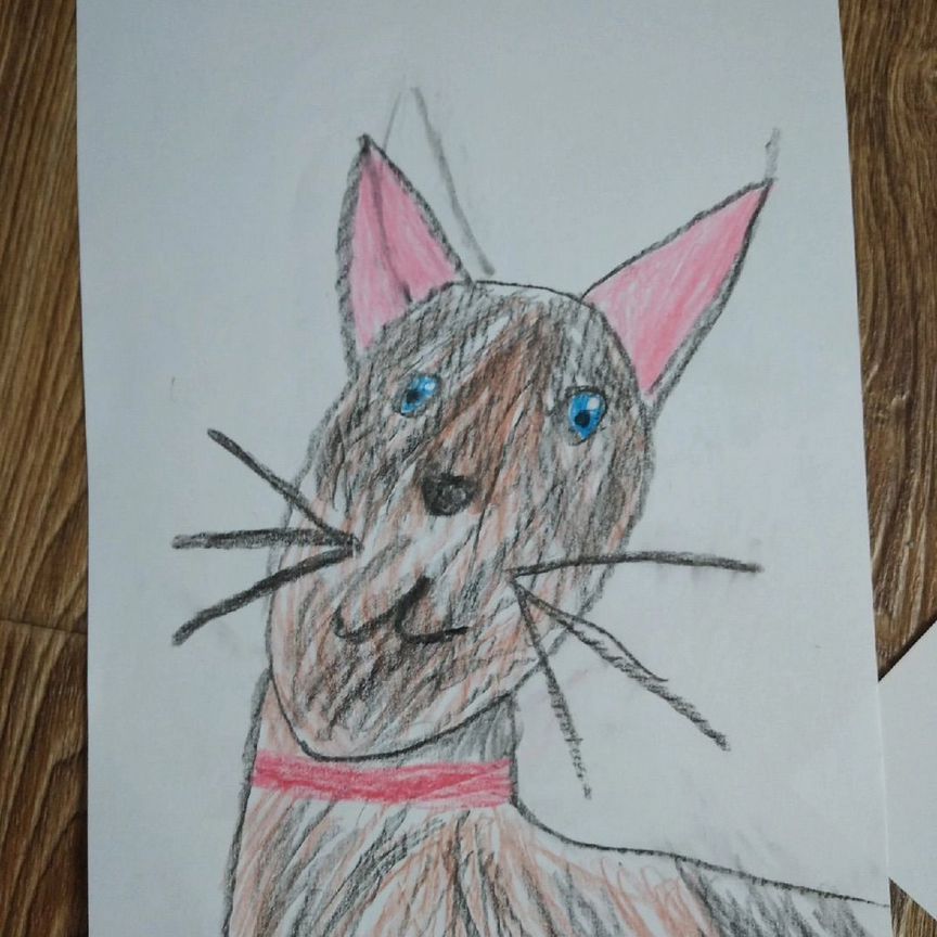 Нарисую рисунок вам любой