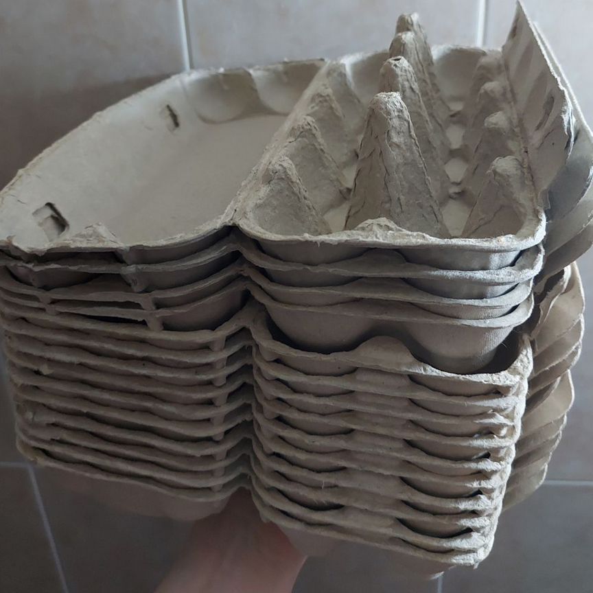 Лотки для яиц