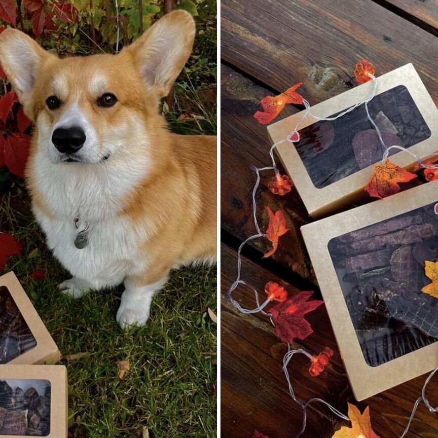Бокс с лакомствами для собак