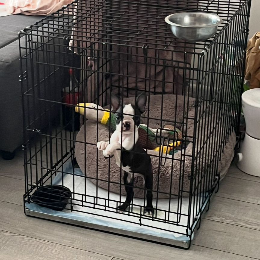 Клетка для собак номер 3