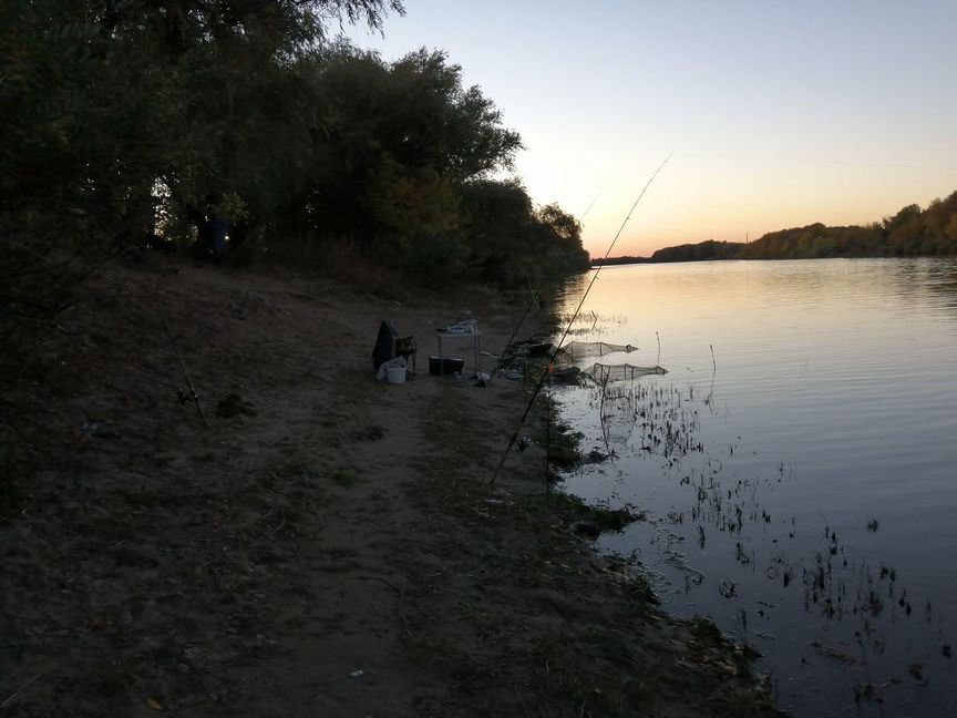 Будка для собаки