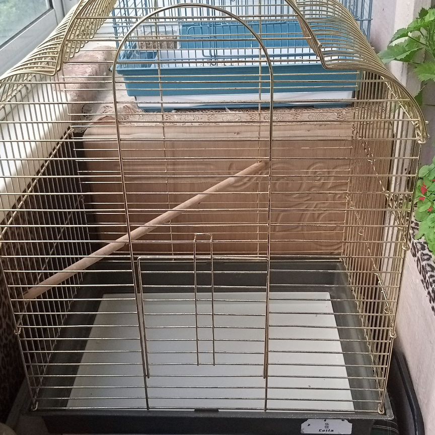 Большая клетка для птиц бу