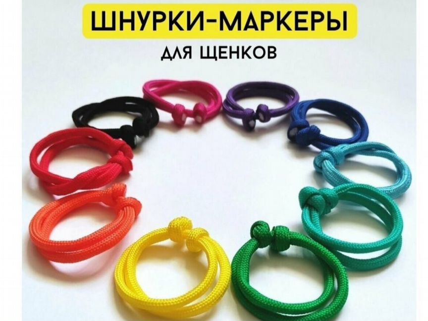 Маркеры ошейники для щенков