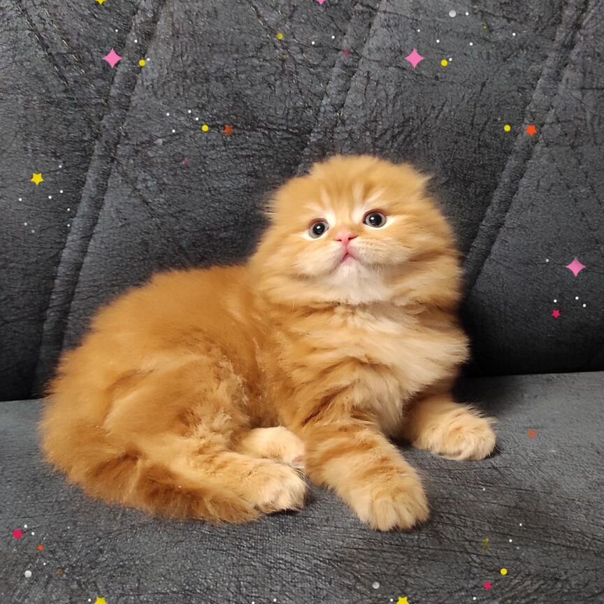 Подарочек под ёлочку