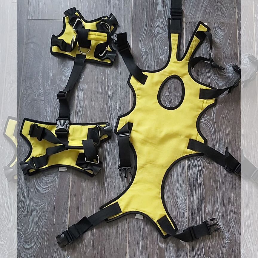 Ходунки для собак