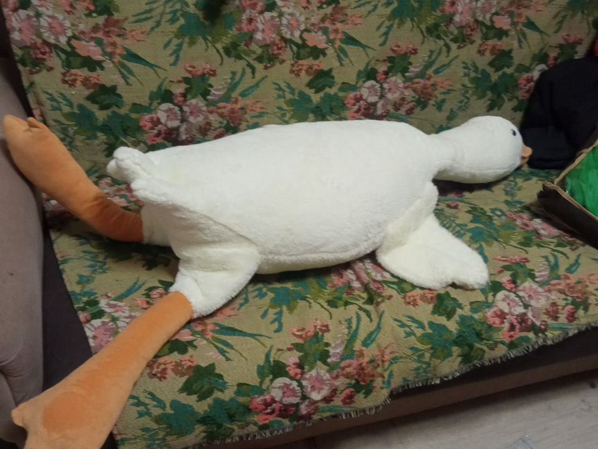 Гусь обнимусь большой