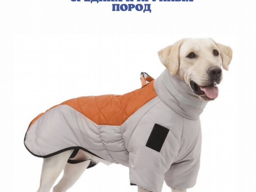Зимняя попона для собак