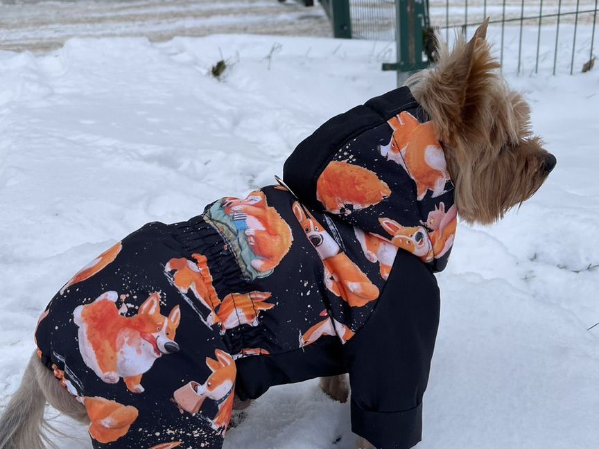 Одежда для собак