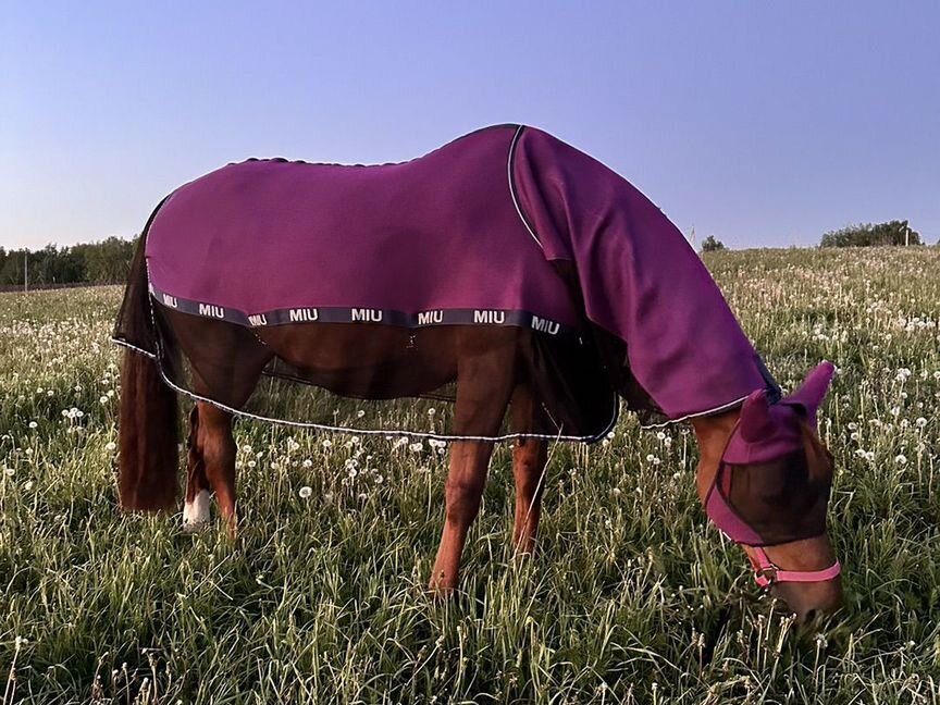 Антимоскитная попона MIU Equestrian 155 см