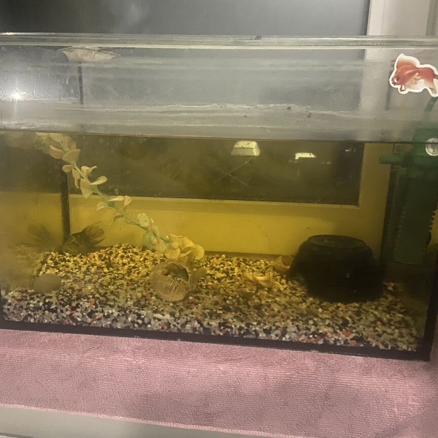 Продам аквариум20л