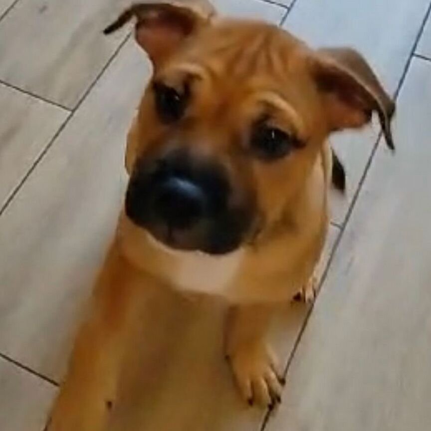 Ка де бо