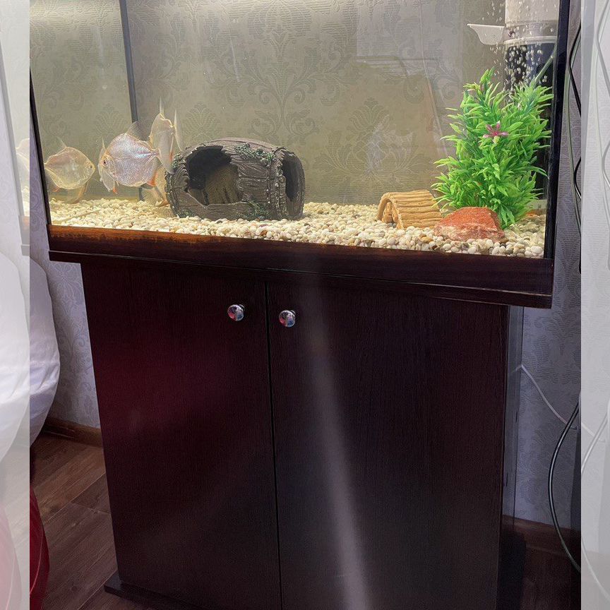 Аквариум с тумбой и рыбами