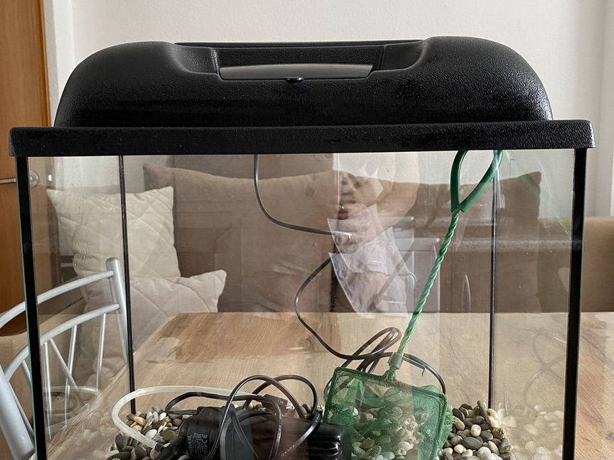 Забронировано. Аквариум с подсветкой