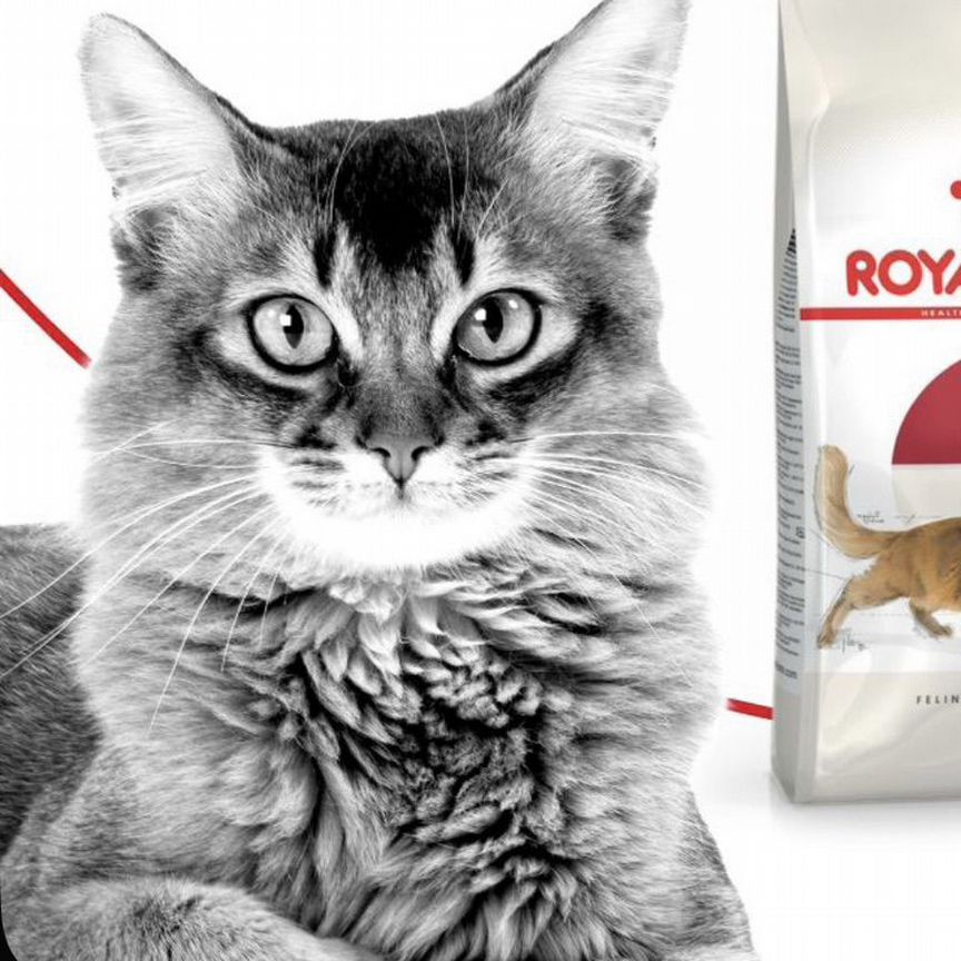 Корм для кошек royal canin fit