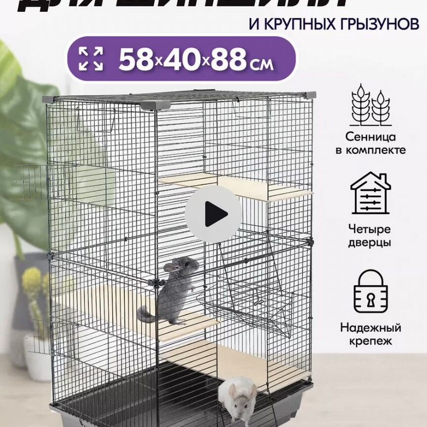 Клетка