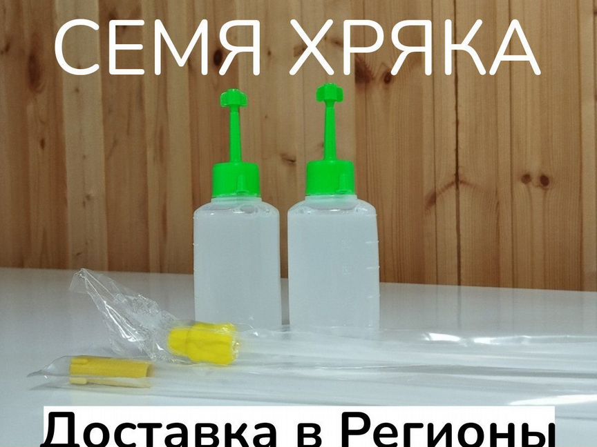 Семя хряка Дюрок, Пьетрен макстер с Доставкой