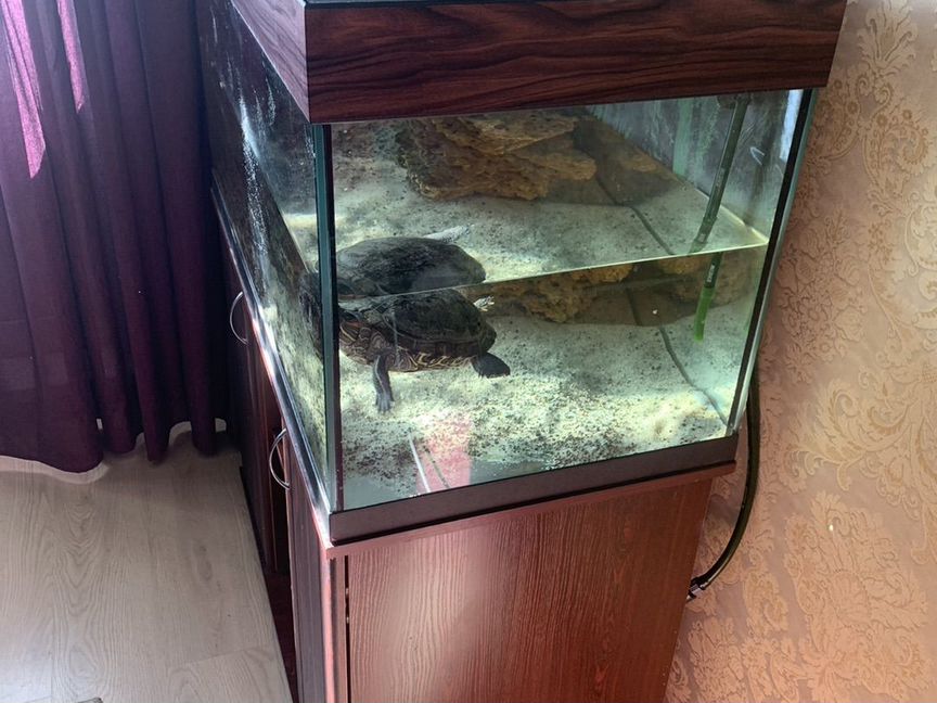 Аквариум с тумбой 300 литров